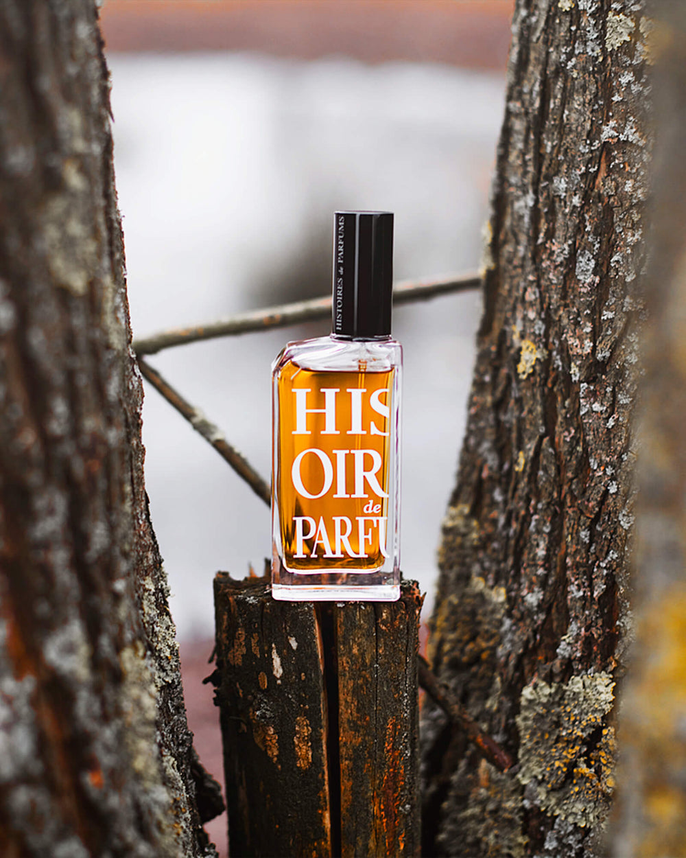 1740 - Histoires de Parfums