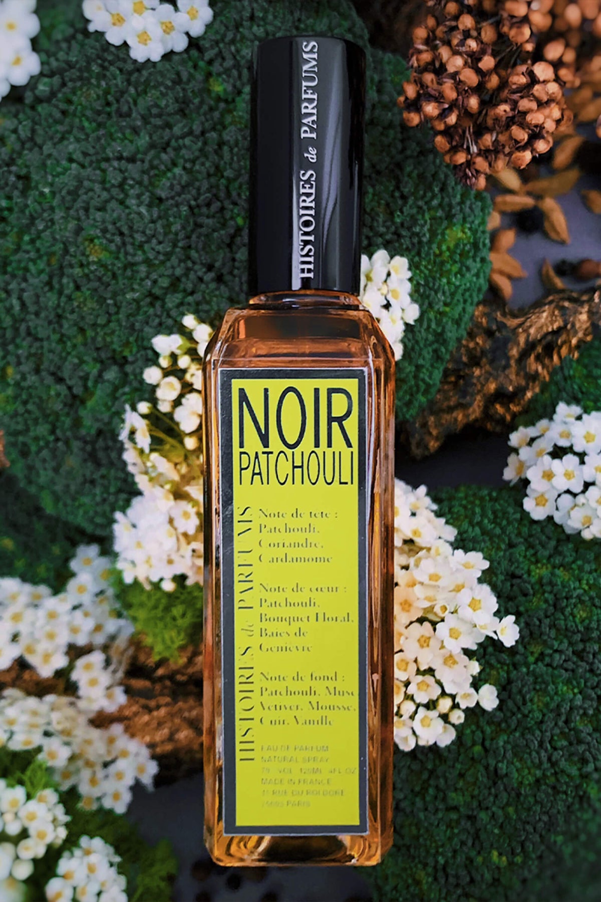 Noir Patchouli - Woody Chypre Eau de Parfum - Histoires de Parfums
