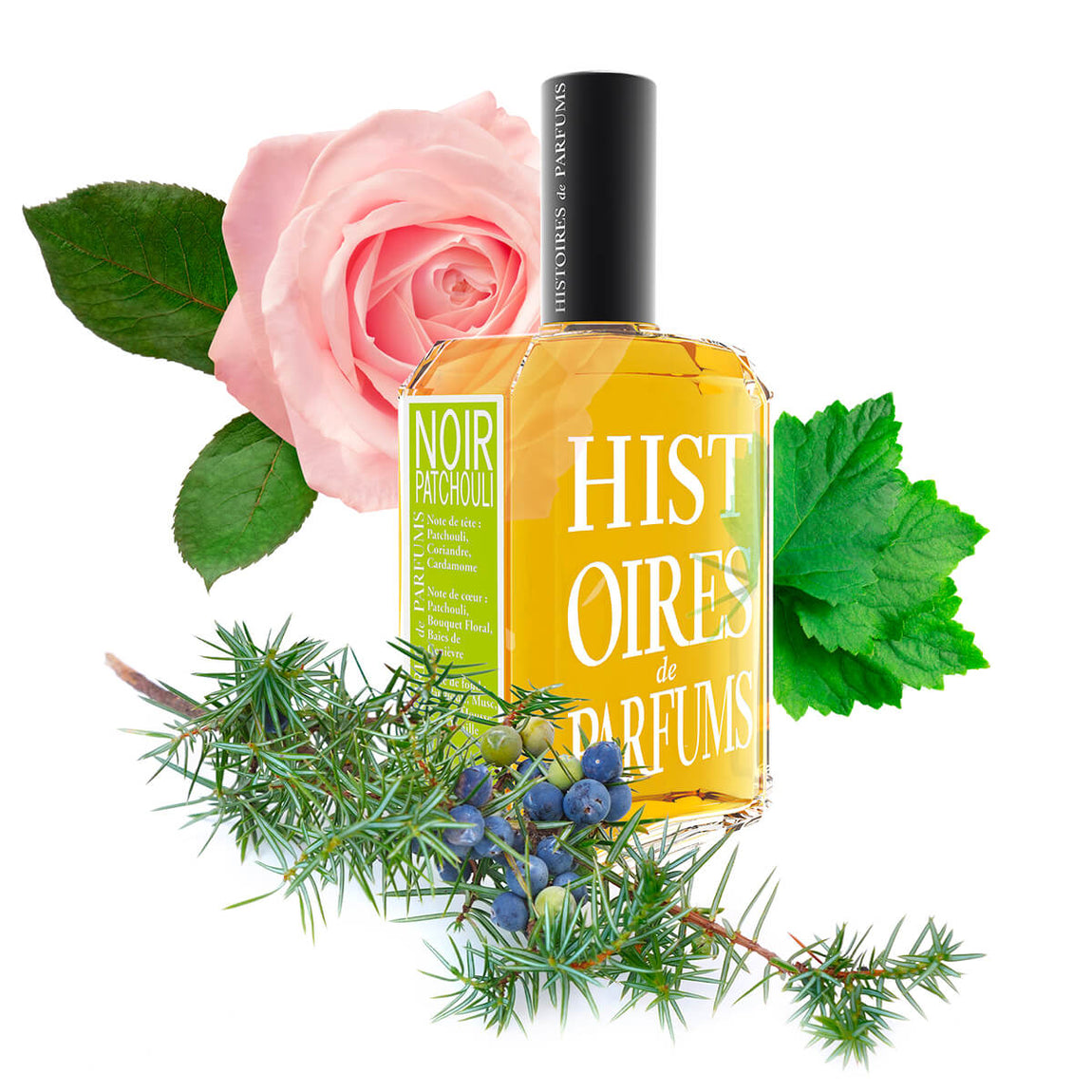 Noir Patchouli - Woody Chypre Eau de Parfum - Histoires de Parfums